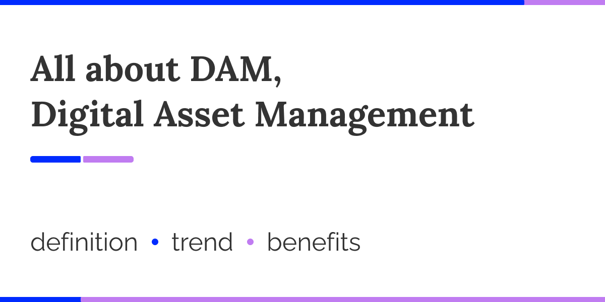 Digital Asset Management: what is DAM | See Commerce